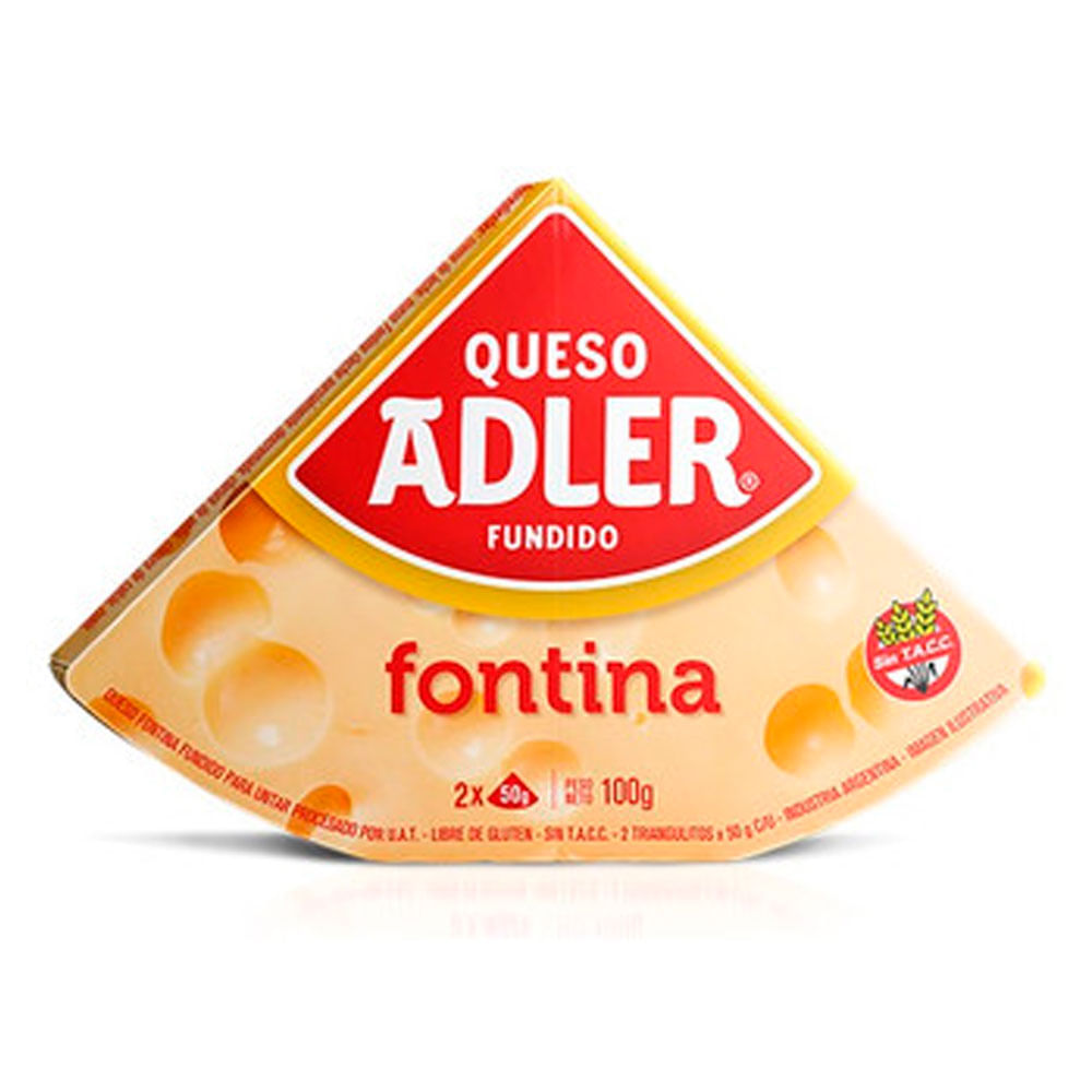 Queso-Fontina-Adler-Triangular-100-G-2-29757